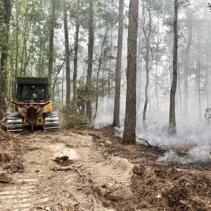 Wildfire activity possible for multiple areas of the state - Texas A&M ...