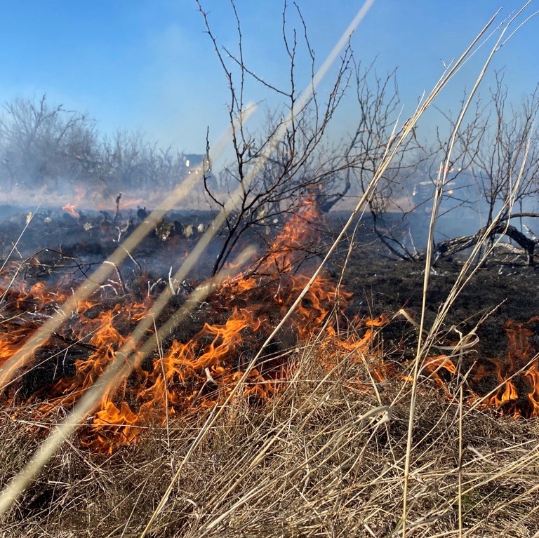 Elevated wildfire weather forecast for the Western Plains and Trans ...