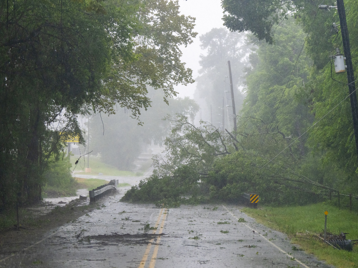 Trees & Flooding - Texas A&M Forest Service